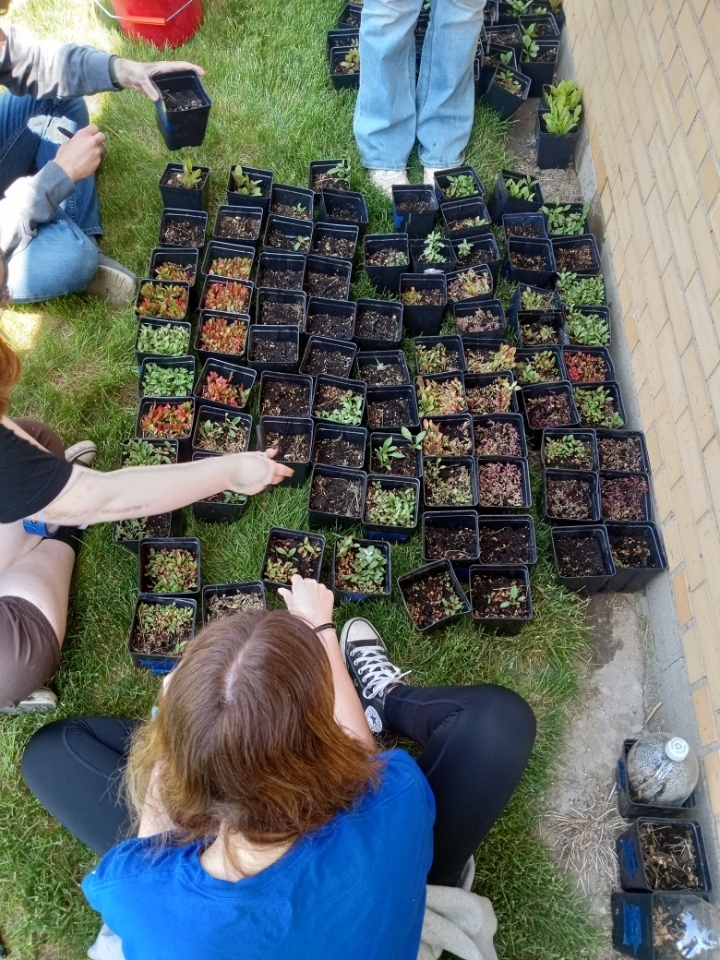 Live Feed | Au Gres-Sims School District